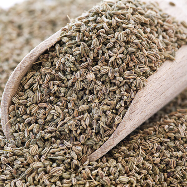 Ajowan Essential Oil | Saffire Blue Inc.