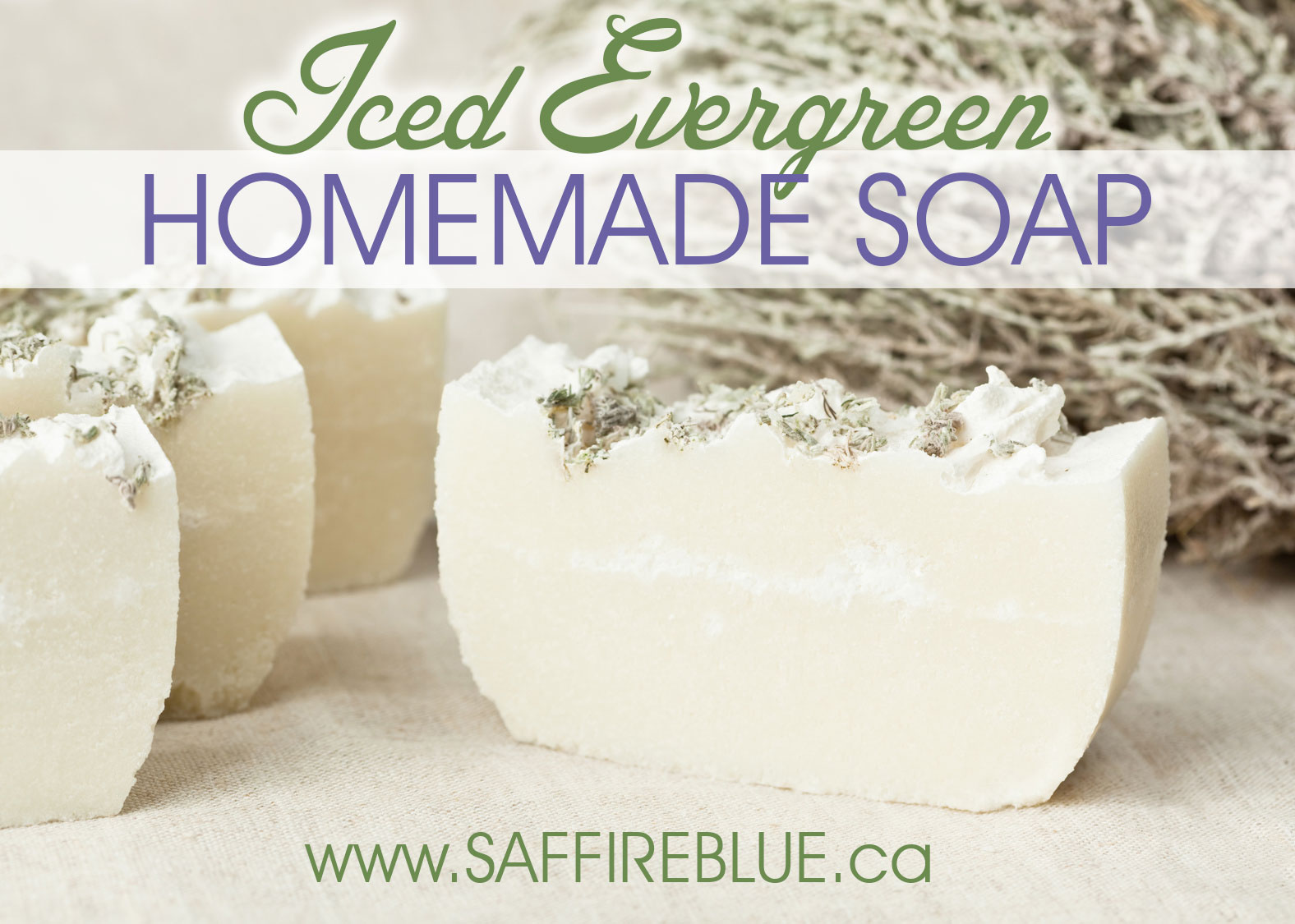 Iced Evergreen Cold Process Soap | Saffire Blue Inc.