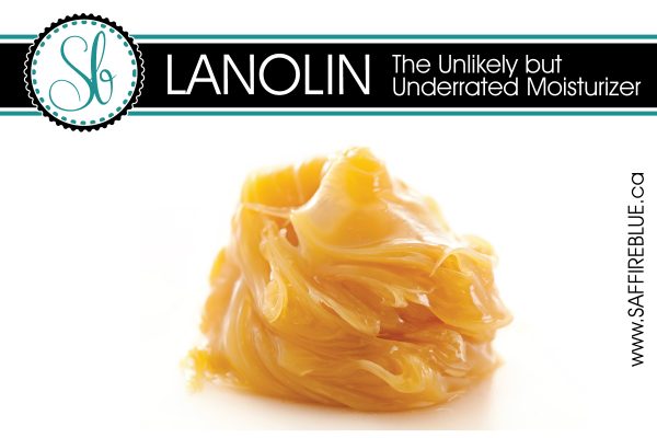 Lanolin - The Unlikely but Underrated Moisturizer | Saffire Blue Inc.